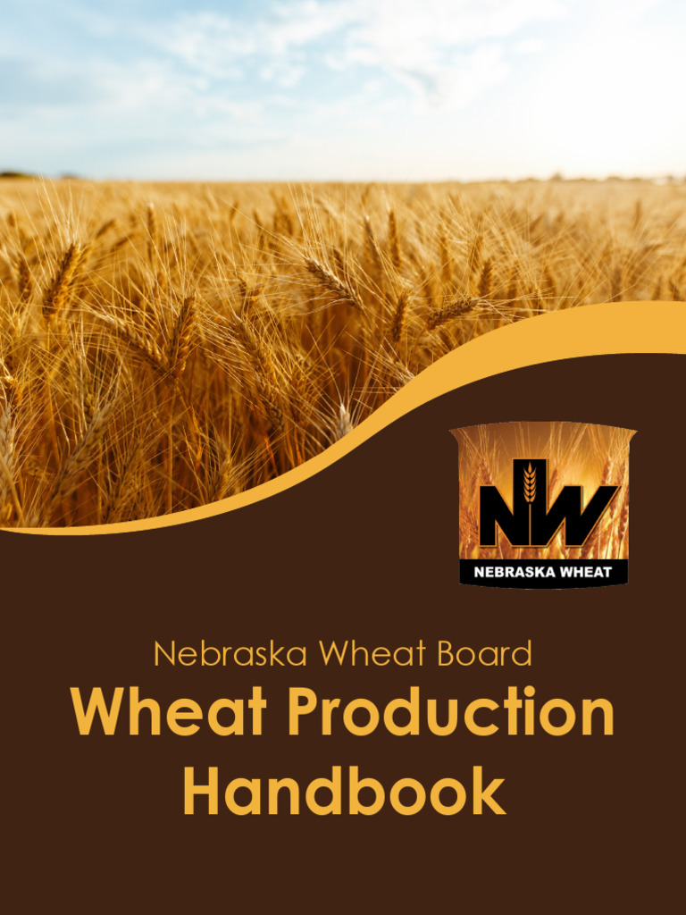 Nebraska Wheat Production Insights | PDF | Flour | Wheat