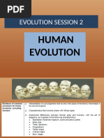 Human Evolution Chart | PDF | Homo | Human Evolution