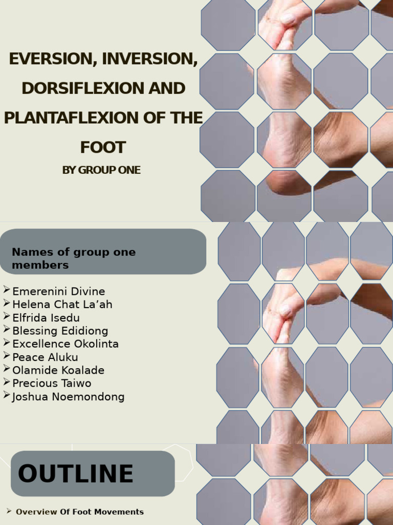 Eversion, Inversion, Dorsiflexion, Plantarflexion | PDF | Foot | Human Leg