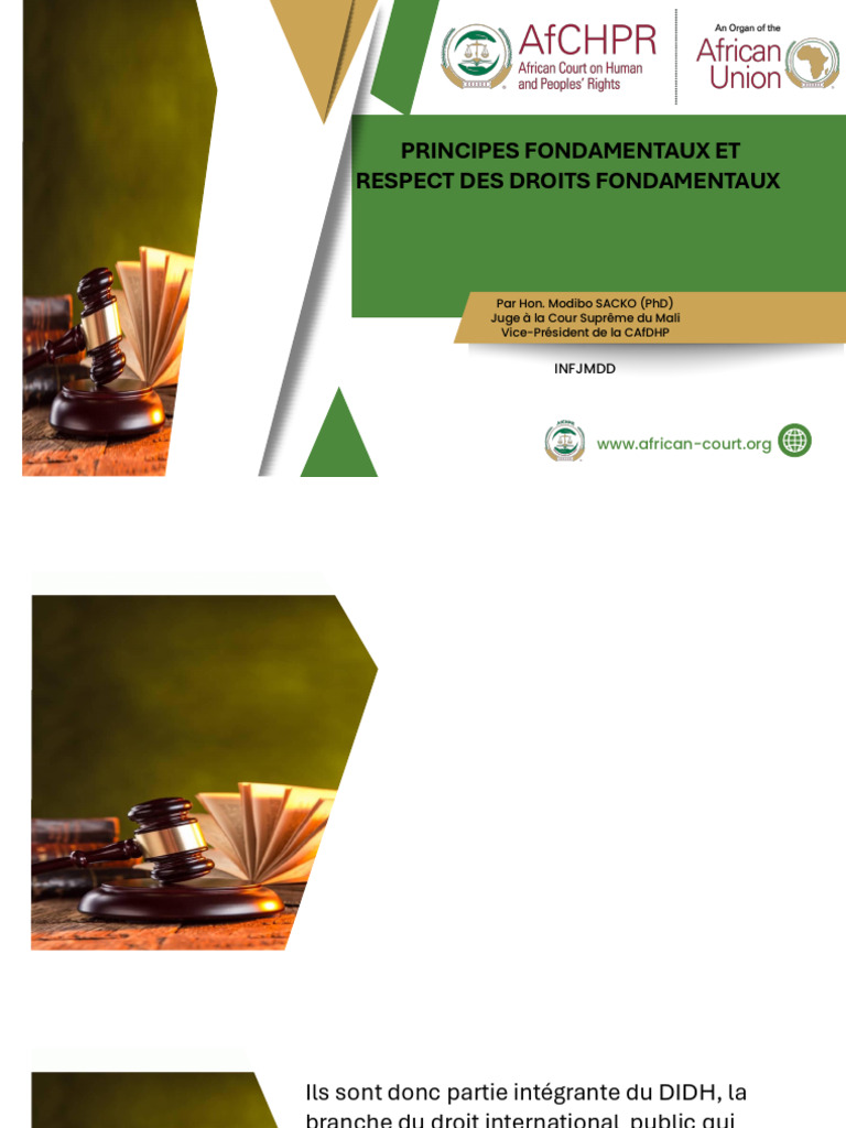 Didh - Principes Fondamentaux-1 | PDF | Cour pénale internationale ...