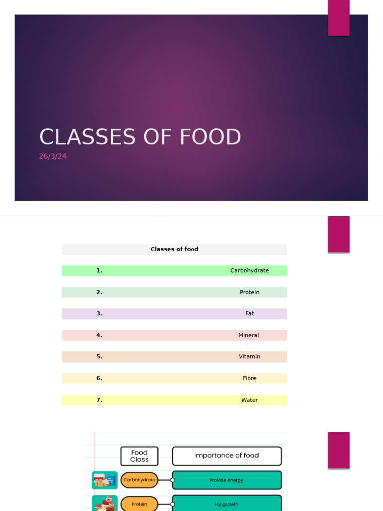 Classes of Food | PDF
