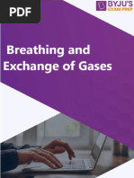 Acute Respiratory Failure Concept Map | PDF | Lung | Respiratory System