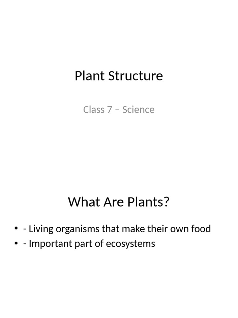 Plant Structure and Functions for Kids | PDF