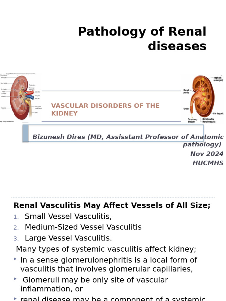 Day Two Lecture On Renal Pathology | PDF | Kidney | Nephrology