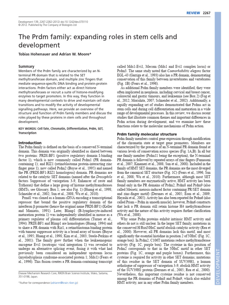 Prdm Family Roles in Stem Cells | PDF | Cellular Differentiation | Histone
