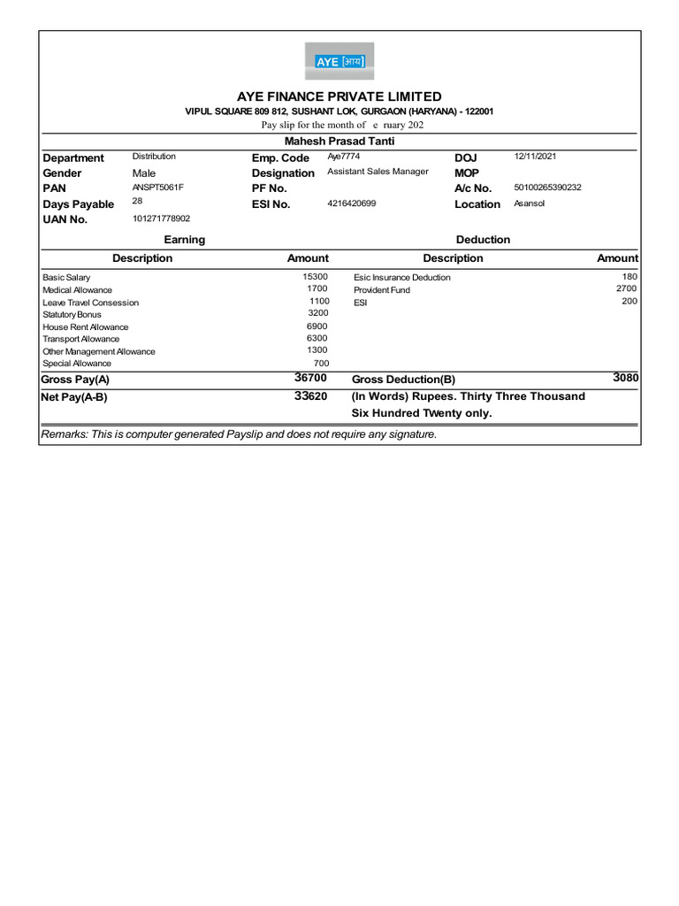 February 2025 Payslip for Aye Finance | PDF
