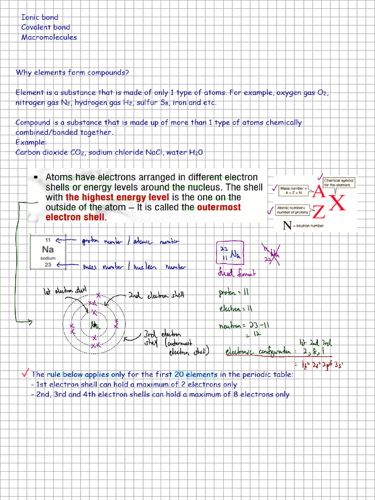 Sci Yr 9 Notes 23012025 | PDF