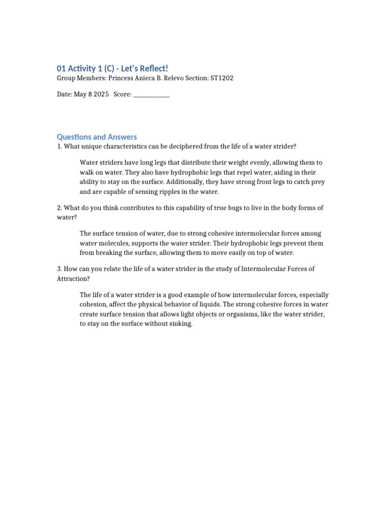 Water Strider IMFA Reflection | PDF