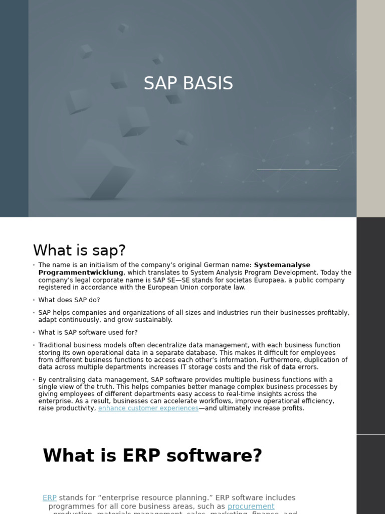 Sap Basis | PDF | Enterprise Resource Planning | Server (Computing)