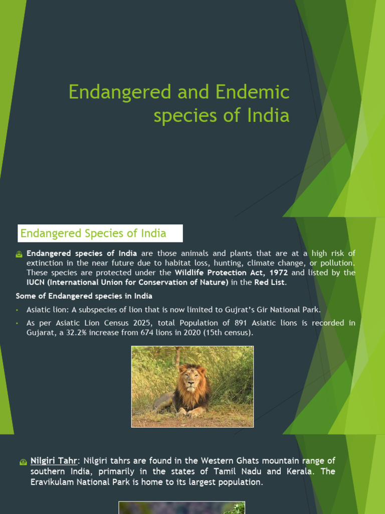 Endangered and Endemic Species of India | PDF | Endangered Species ...