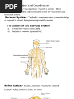 Class 10 Science - Biology Chapter 2 Control and Coordination | PDF | Nervous System | Central ...