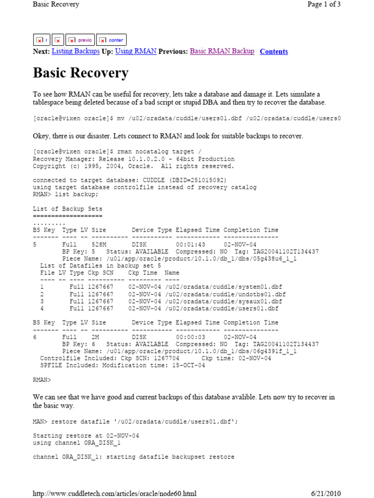RMAN Recovery | PDF | Backup | Databases
