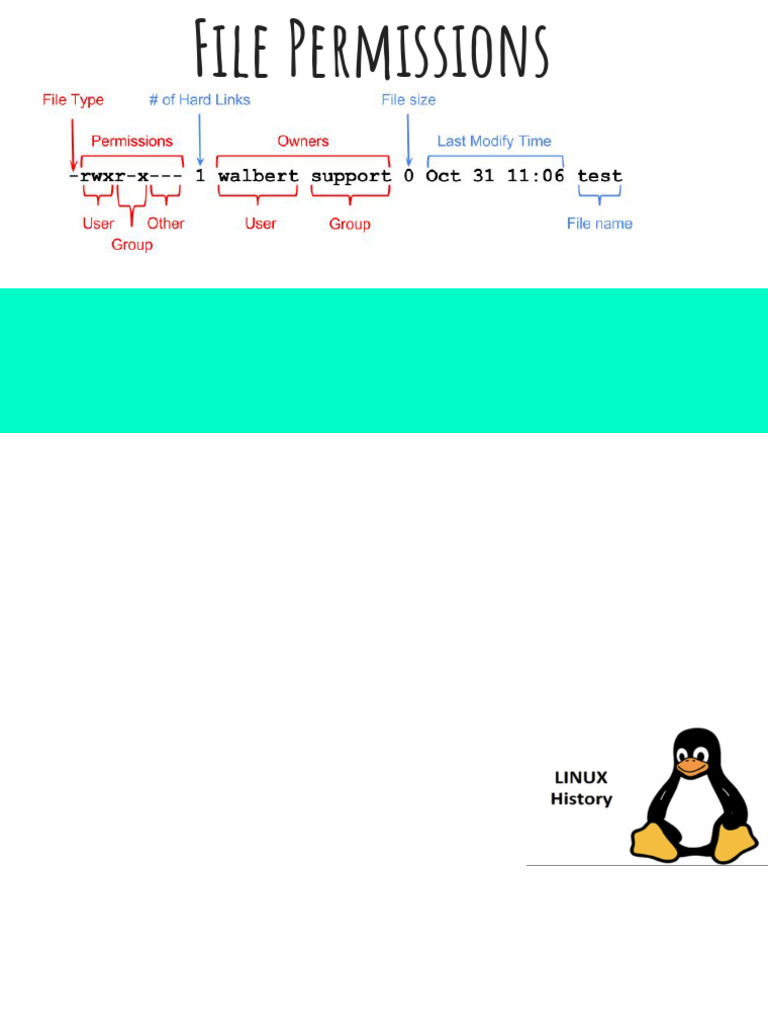 2 File Owner Permissions | PDF