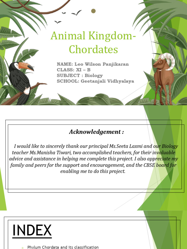 Animal Kingdom-Biology assignment | PDF | Vertebrates | Chordates