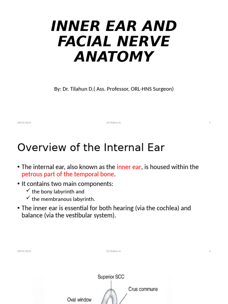 5. Inner ear and facial nerve Anatomy | PDF | Ear | Auditory System