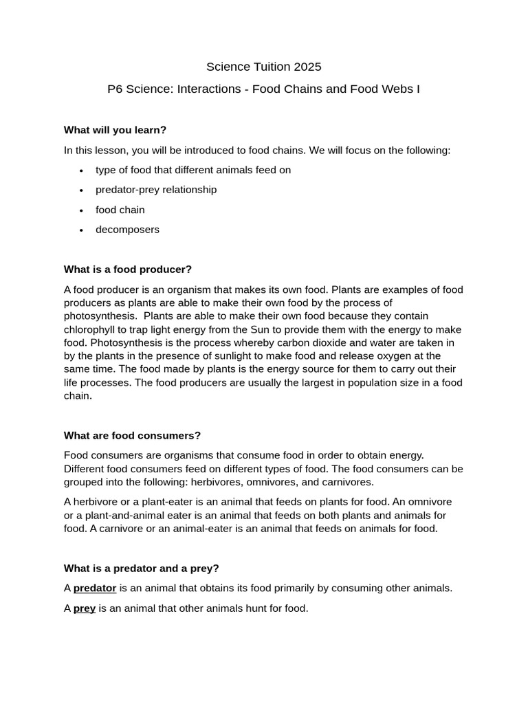 P6 Science: Food Chains & Webs Guide | PDF | Foods | Predation