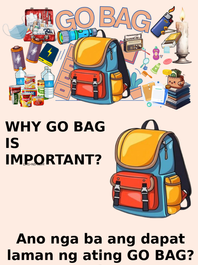 Go Bag | PDF