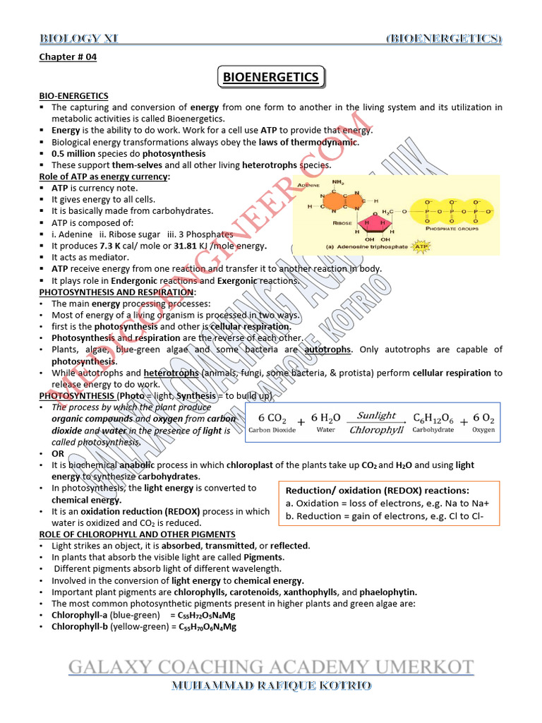 Bioenergetics Keypoints New STB | PDF | Cellular Respiration ...