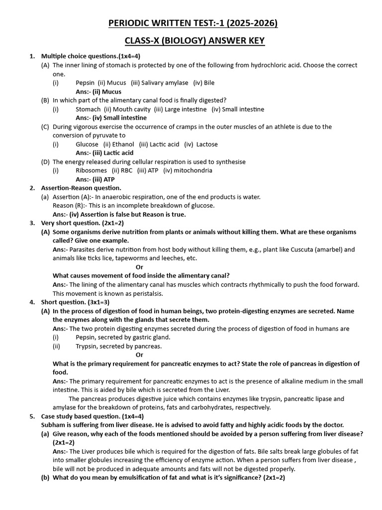 Answer Key Class-X Biology Pwt-1 (2025-26) | PDF | Digestion | Pancreas