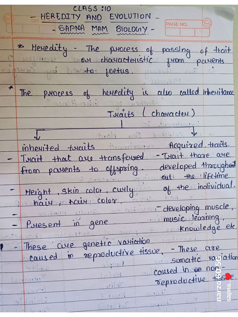 Std.10 Heredity and Evolution ? | PDF