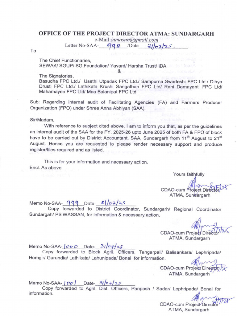 Internal Audit Dmf 25-26 | PDF