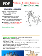 Chordata Classification Flow Chart | PDF | Vertebrates | Fish