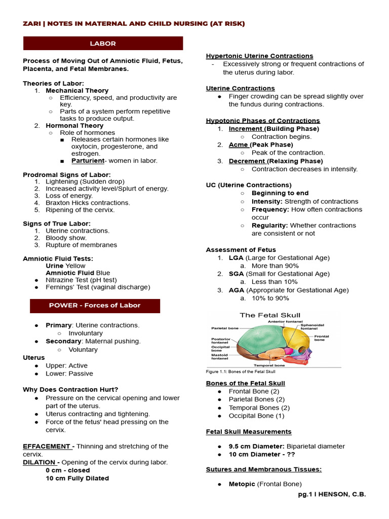 Labor: Zari - Notes in Maternal and Child Nursing (At Risk) | PDF ...