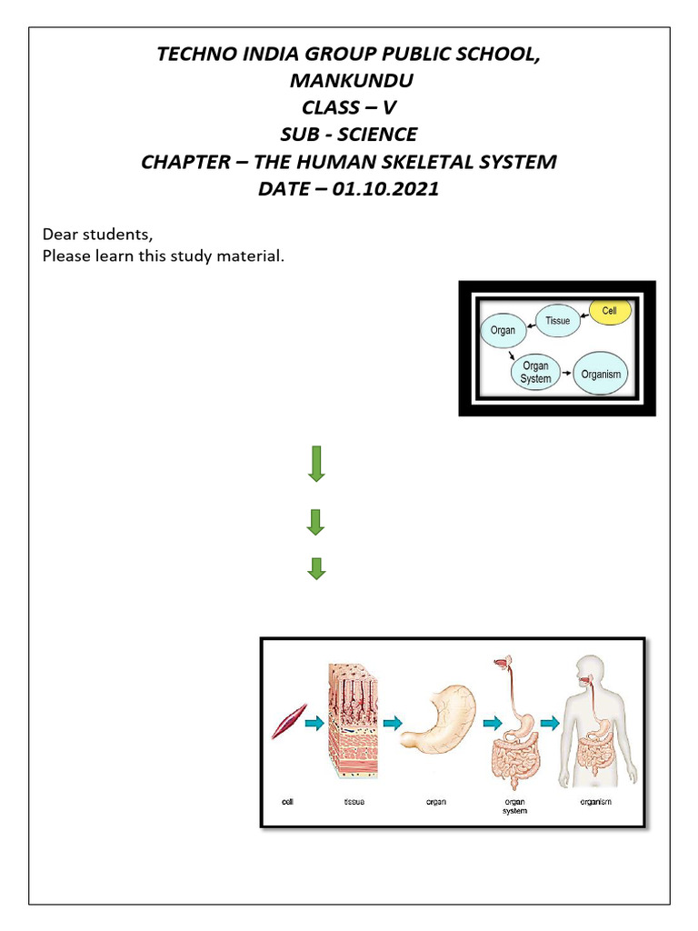 Class 5 Science 01.10.21 | PDF