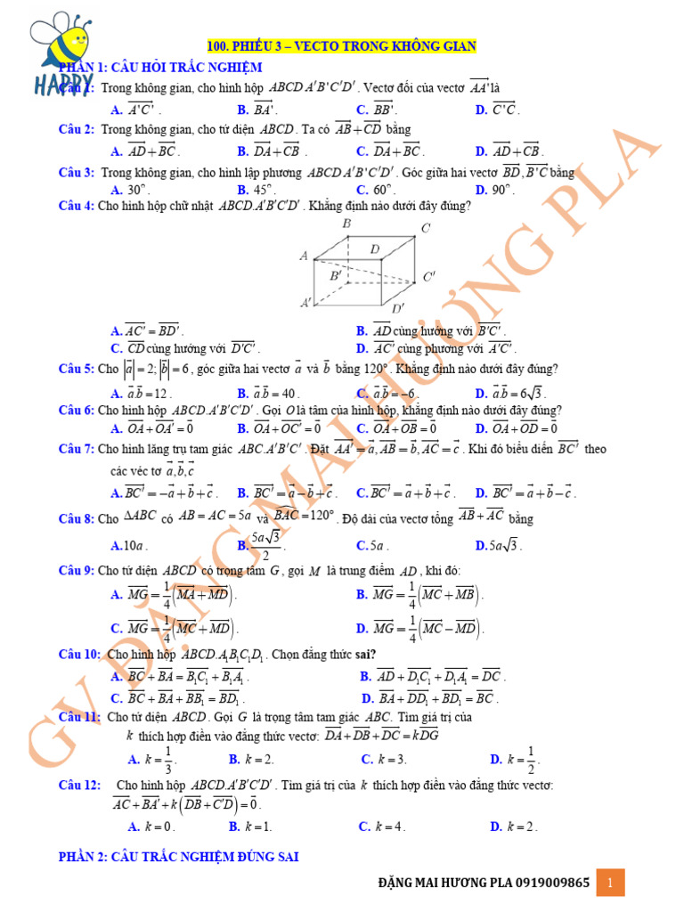 100. Vecto - Phiếu 3 | PDF