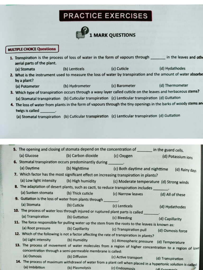 Biology Worksheet - Transpiration Write The - Answers - Only in Note ...