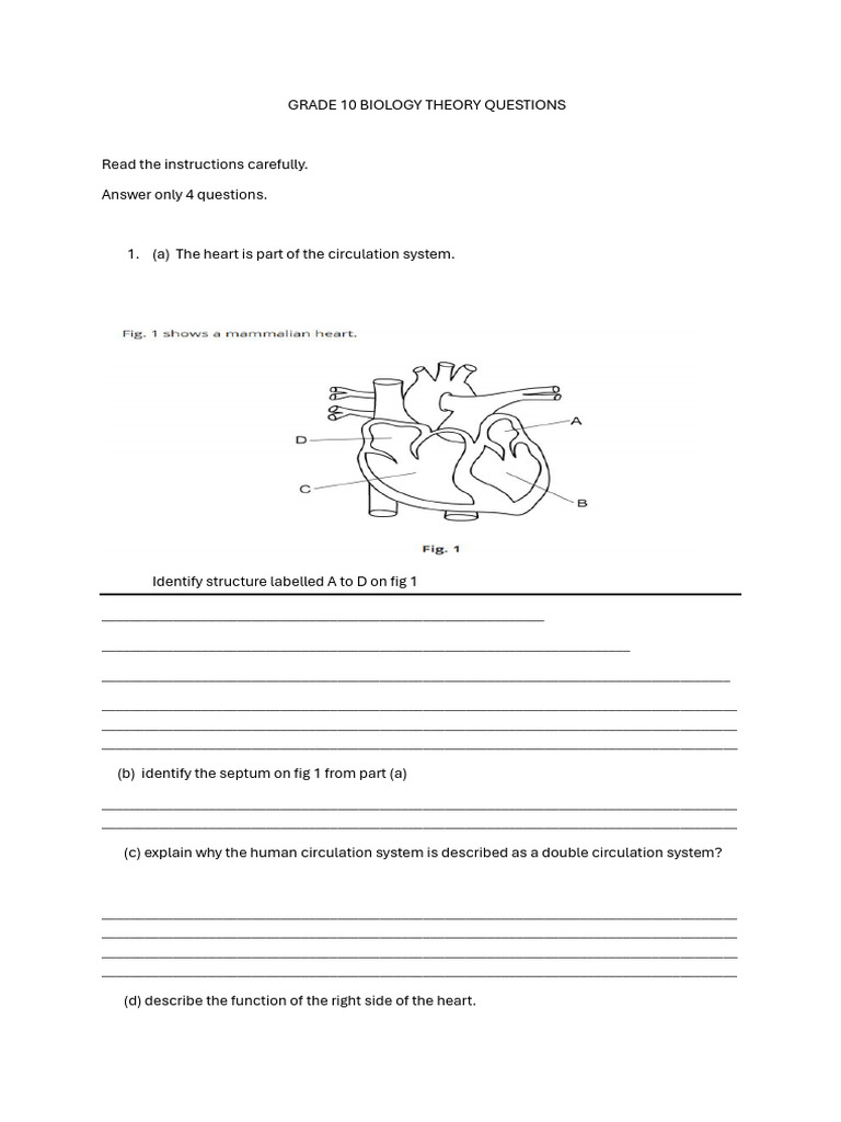 Grade 10 Biology Theory Questions | PDF | Cholera | Enzyme
