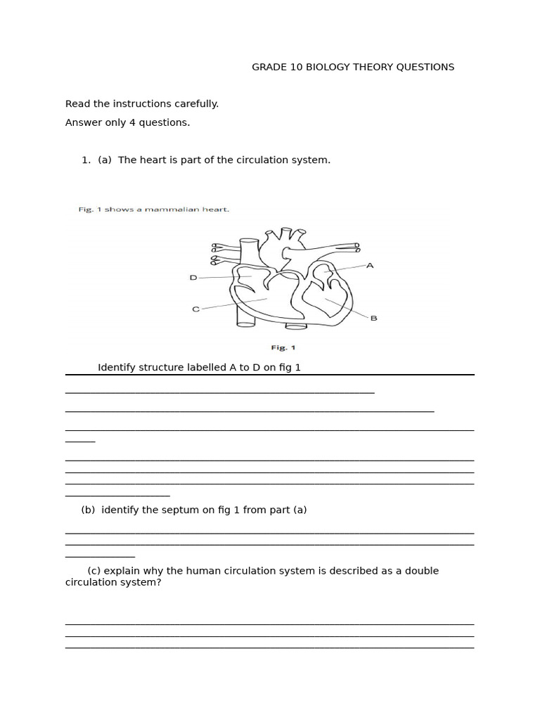 Grade 10 Biology Theory Questions | PDF | Cholera | Enzyme