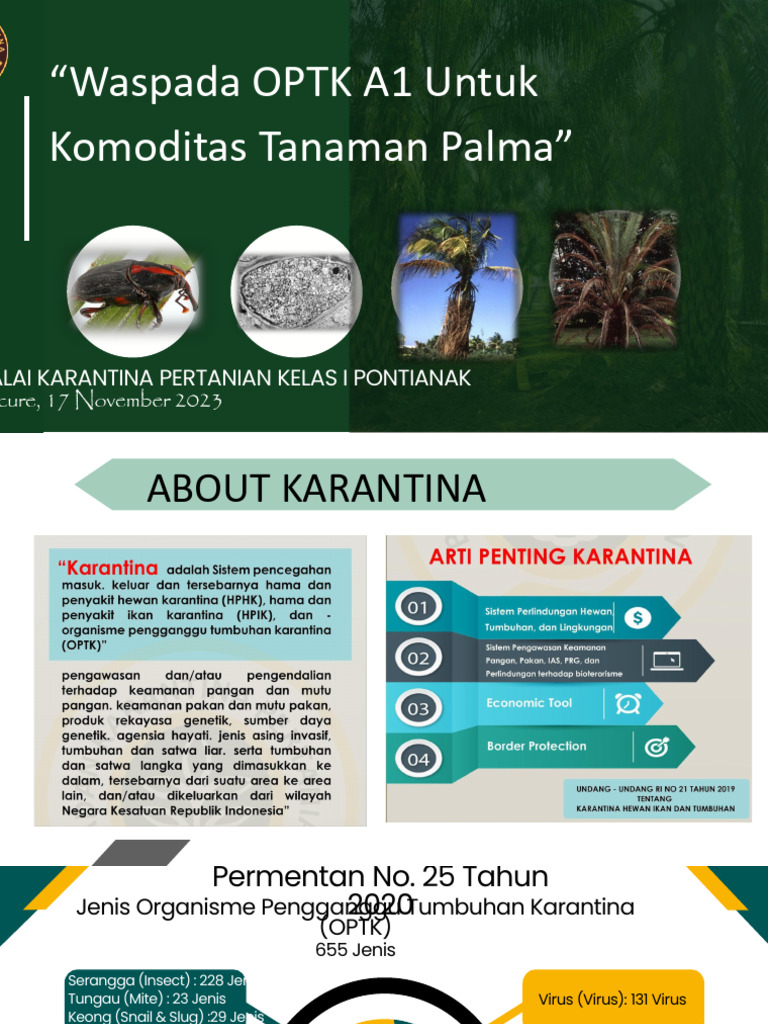 Waspada OPTK A1 pada Tanaman Palma | PDF