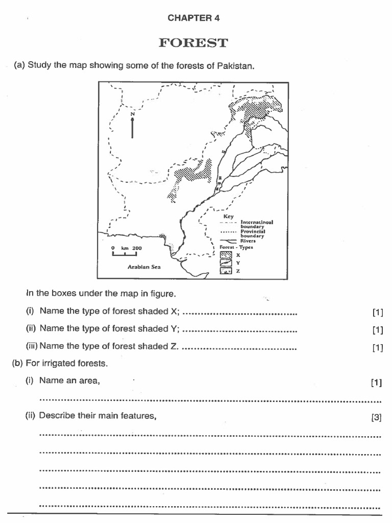 Forest Worksheets | PDF