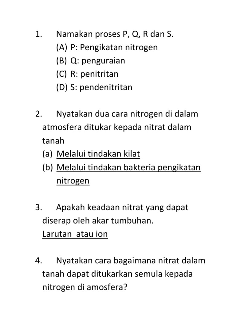 Namakan Proses P | PDF