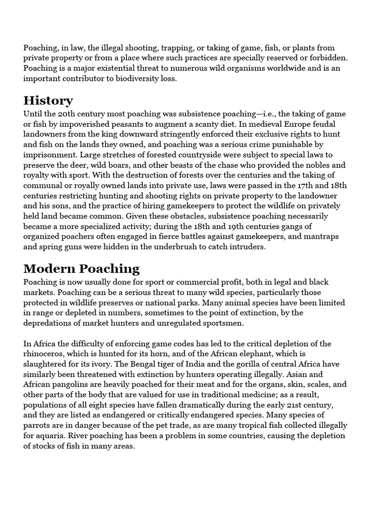 Understanding Poaching and Its Impact | PDF | Poaching | Crime & Violence