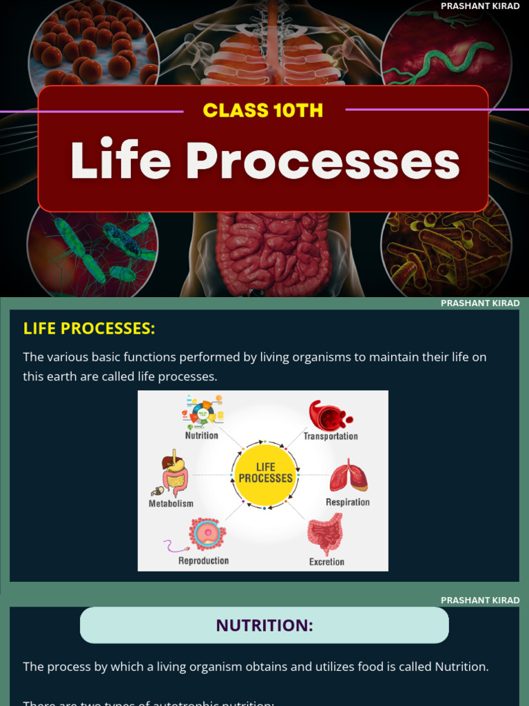 Life Processes (Prashant Kirad) | PDF | Circulatory System | Digestion