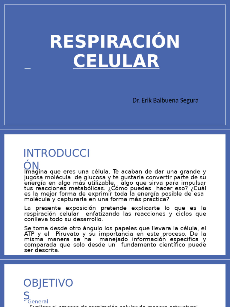 Respiración Celular | PDF | Respiración celular | Trifosfato de adenosina