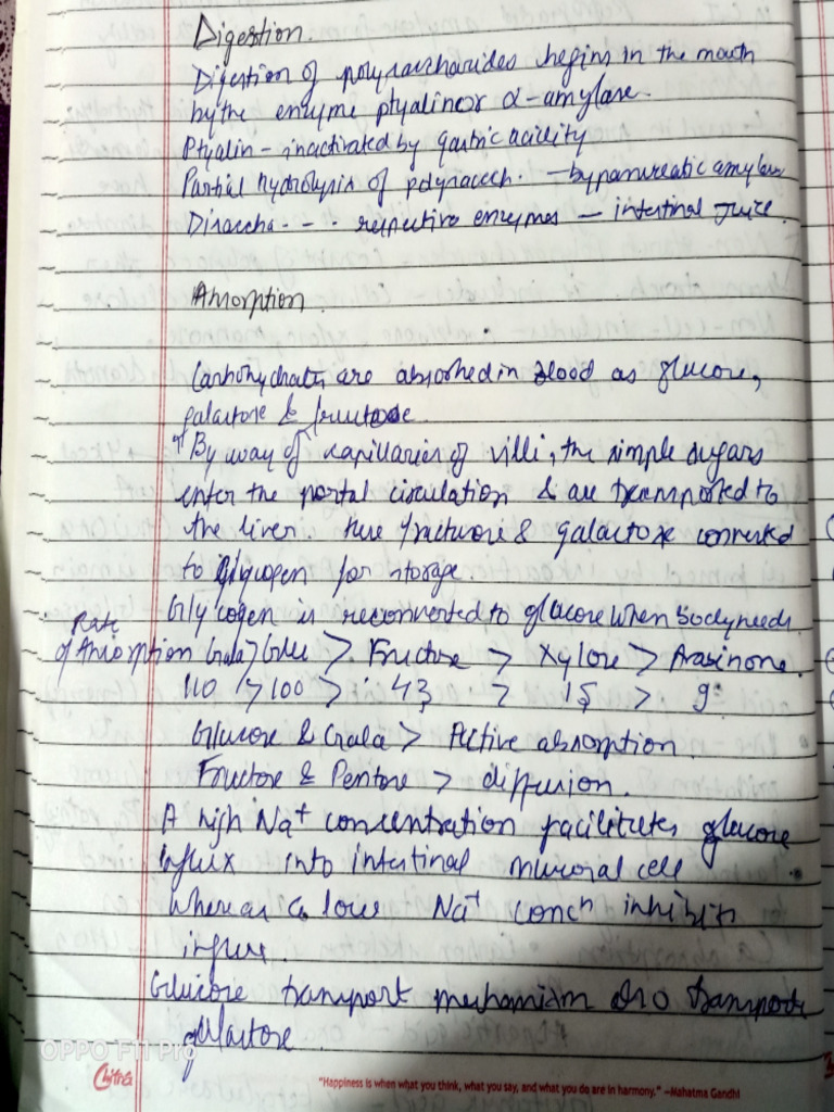 7 Short Notes | PDF