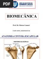 Anatomia Do Complexo Articular Do Ombro | PDF | Sistema Locomotor | Anatomia humana