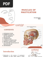 Dogfish Muscle Anatomy Guide | PDF | Pelvis | Mouth