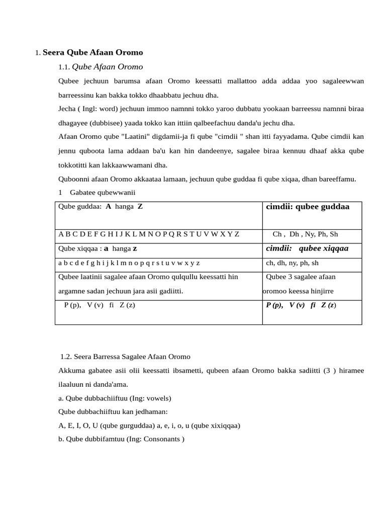 Sirna Qubee Afaan Oromoo | PDF