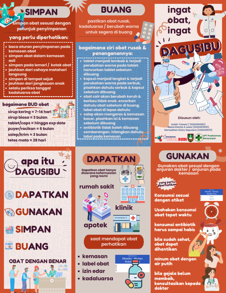 Panduan Pengelolaan Obat DAGUSIBU | PDF