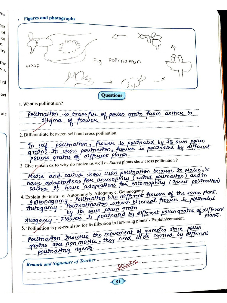 4. Study of Flowers Adapted to Pollination by Different Pollinating ...