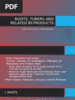 Caribbean Six Food Groups Overview | PDF