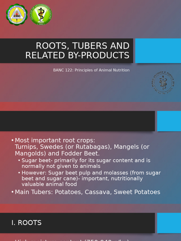 Part 5.4 Roots Tubers and Related by Products | PDF | Sugar Beet | Sugar