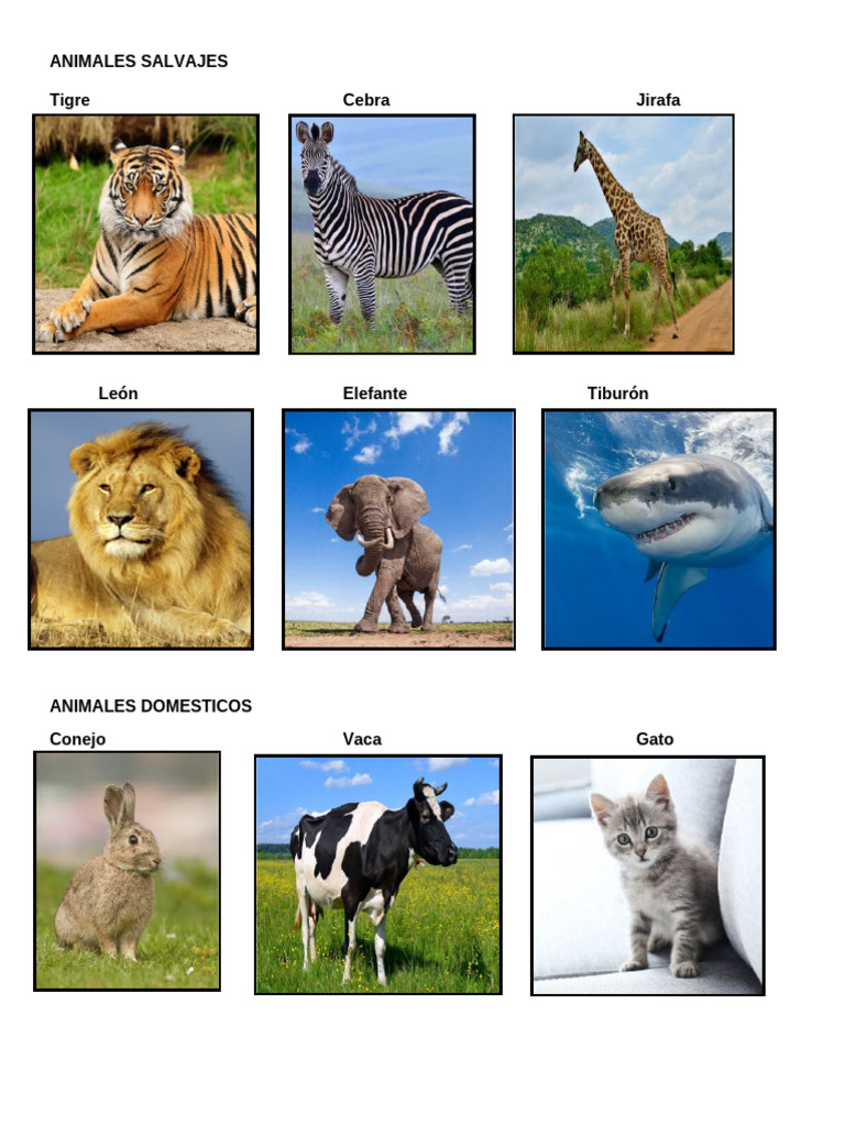 Animales Domesticos Salvajes y Acuaticos | PDF