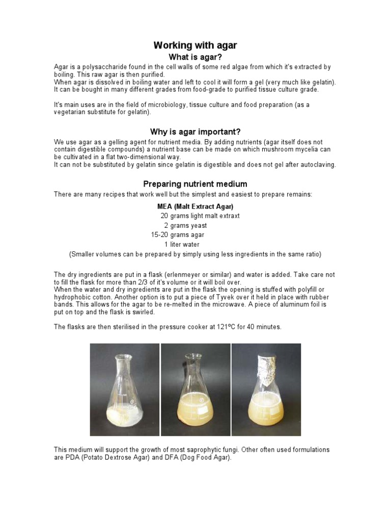 A Comprehensive Guide to Agar Preparation | PDF | Cooking, Food & Wine ...
