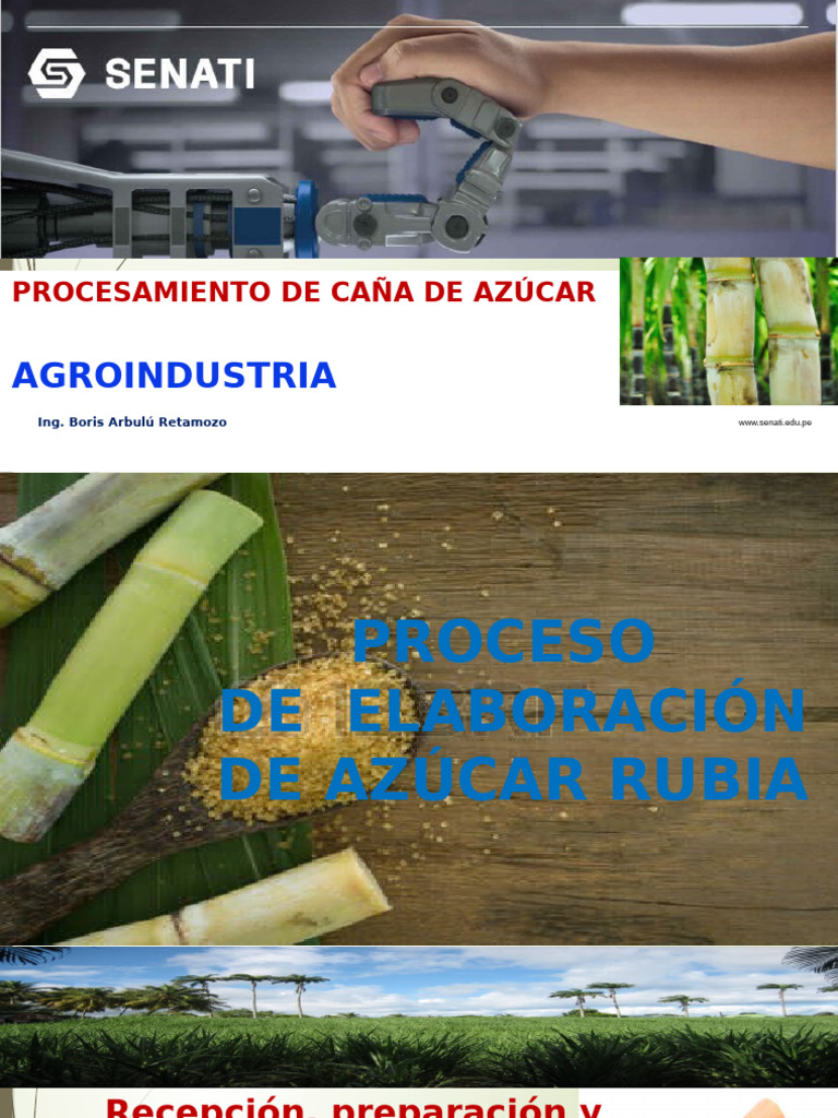Proceso de Molienda de Caña de Azúcar | PDF | Azúcar | Dieta y nutrición
