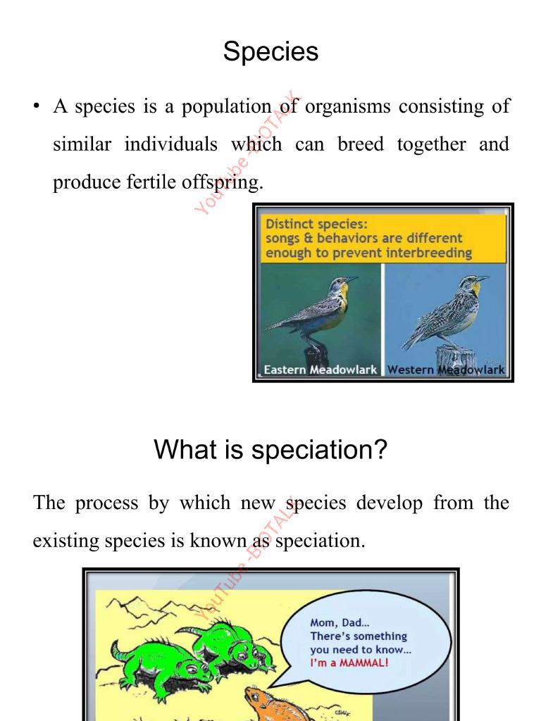 Species Speciation Reproductive Isolation PDF | PDF